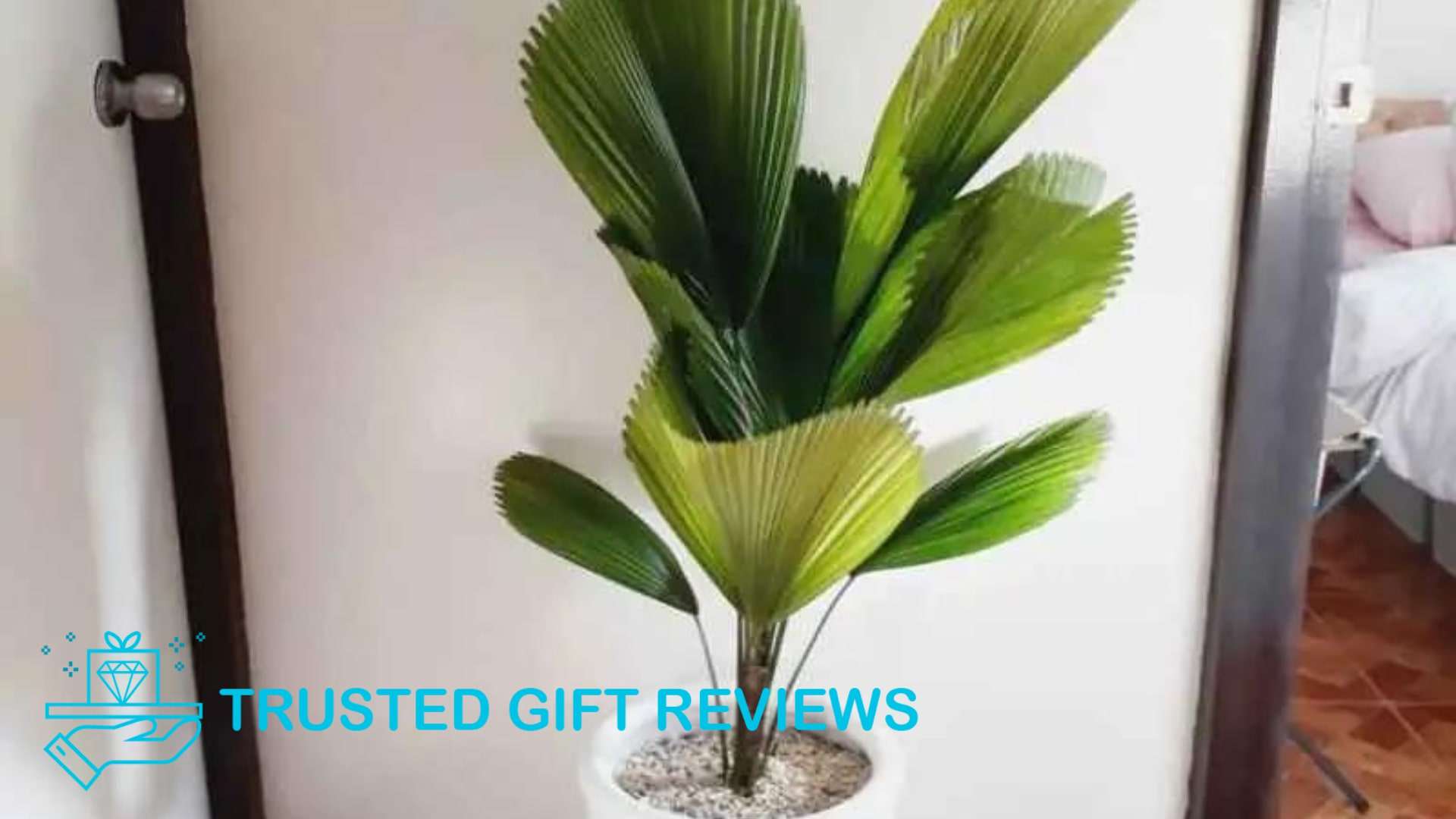 Embrace the Tropical Vibes: Guide to Indoor Palm Trees [2026]