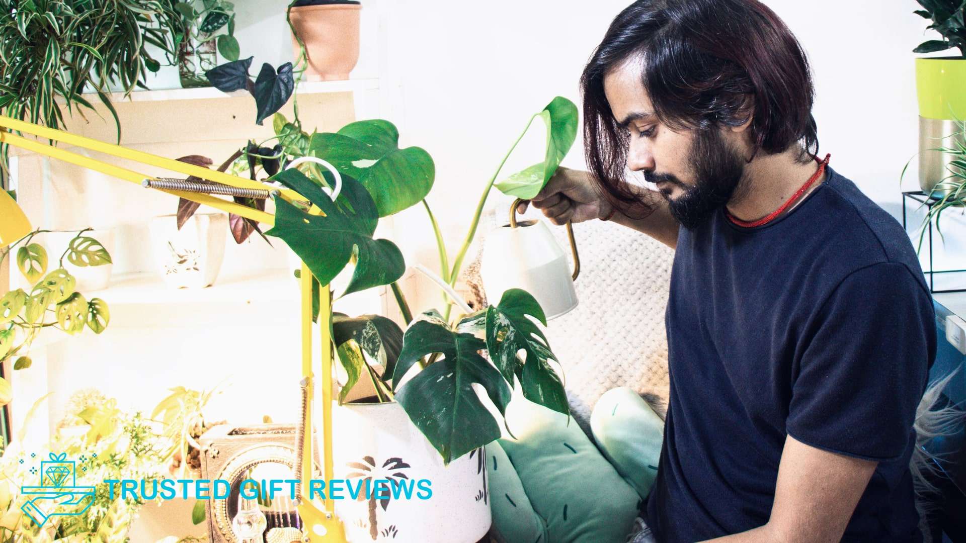Paws and Plants: Are Monstera Plants Safe for Cats? [2026]