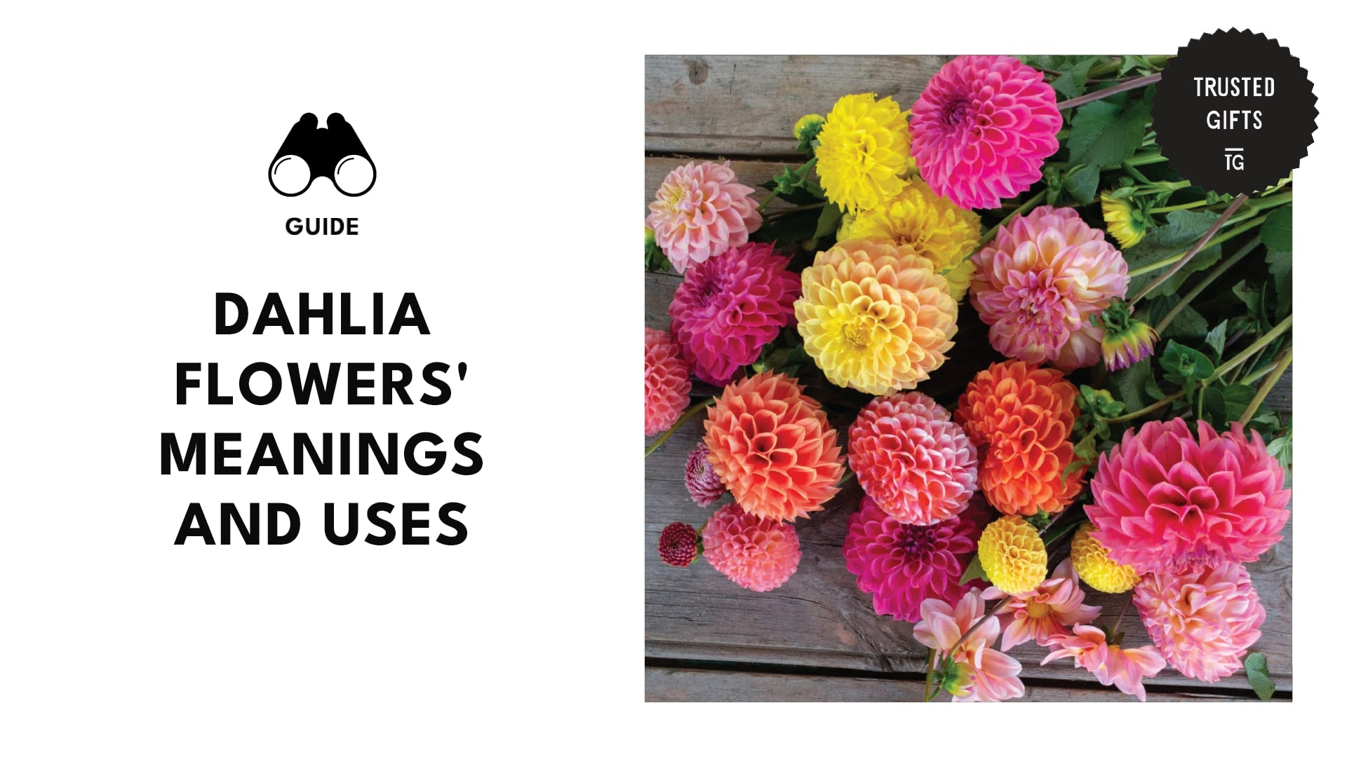 Sending Your Emotions through Dahlias: Flower Meaning Guide [2026]